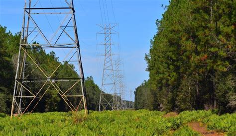 Explore The Essentials Of Easements In Property Use