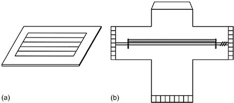 Figure 1 From Detection Of Pinworm Eggs In The Dust Of Laboratory