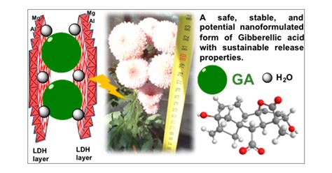 Tailoring Of A Potential Nanoformulated Form Of Gibberellic Acid