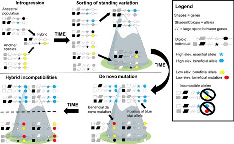 Hypothetical Scenarios Showing The Influence Of Time And Geography On Download Scientific