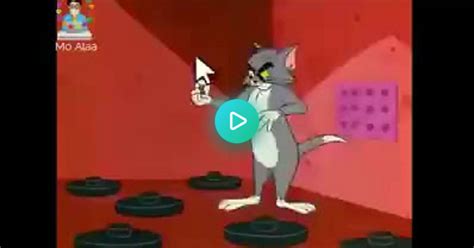 Programmers Know Album On Imgur