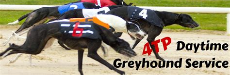 Greyhound Tips Uks Number One