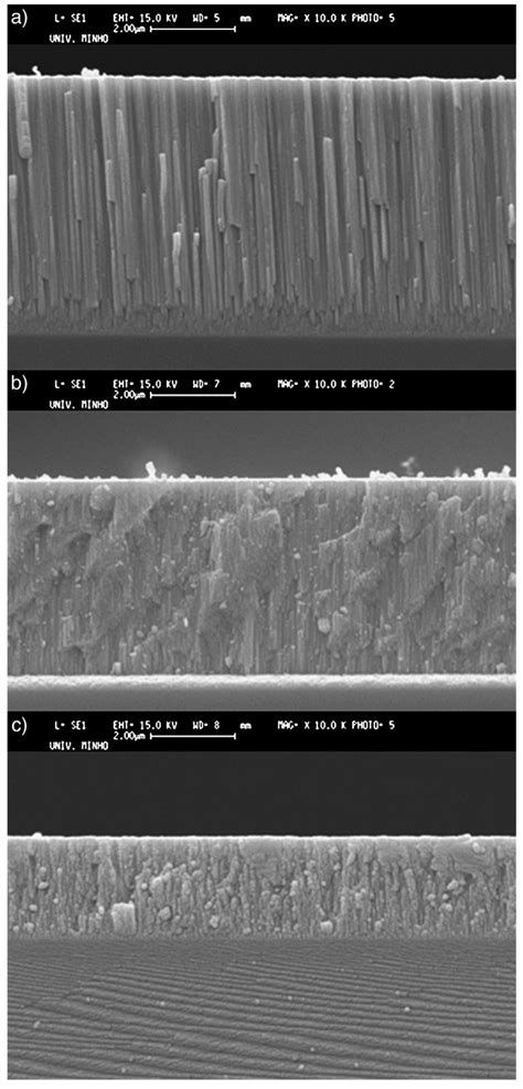 Sem Fracture Cross Sections Of Coatings Synthesized At