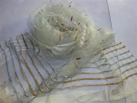 Net Silk Stole At Rs 405 रेशम की स्टोल In Bhagalpur Id 14056626273