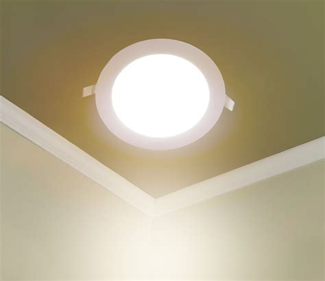Decorative Led Ceiling Lights In India Shelly Lighting