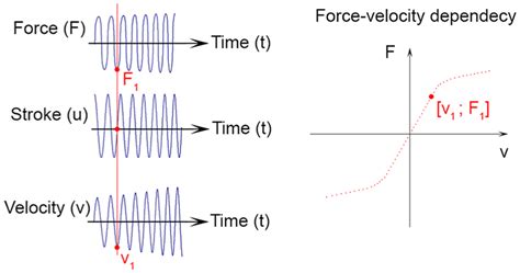 scheme of force velocity dependency measurement download scientific