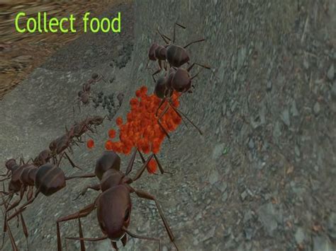 Ant Simulation D Release Date Videos Screenshots Reviews On Rawg