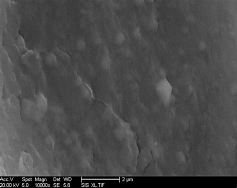 Eo Coefficient At Different Polarizing Temperatures For Edb Mixing