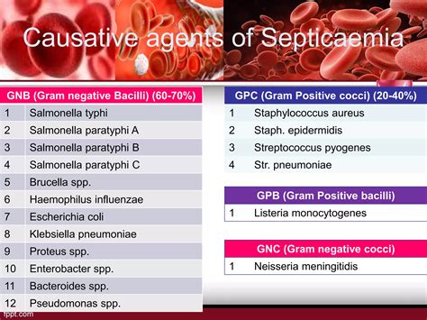 Bacteremia Septicaemia And Endocarditis Ppt
