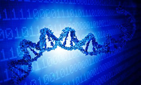 Your Genetic Code Has Lots Of ‘words For The Same Thing Information Theory May Help Explain