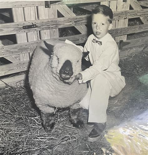 My Dad And His Sheep Sometime In The 1950s Before He Won A Blue Ribbon