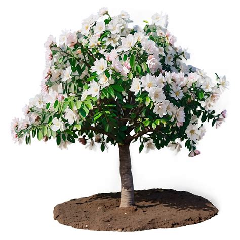 [200 ] Small Tree Png Images Page 4