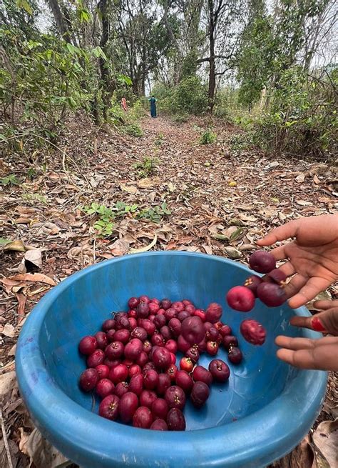 How New Age Homegrown Condiment Brands Are Introducing Regional Indian