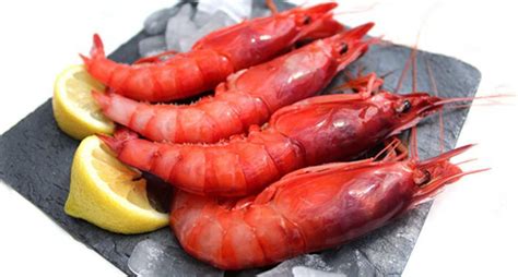 Carabineros Gamba Roja Y Un Sabor Insuperable