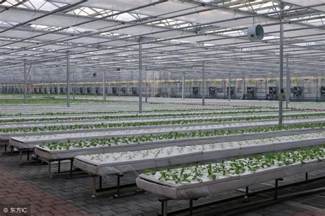 智慧溫室園藝技術、當今世界最高科技設施種植技術典範 每日頭條