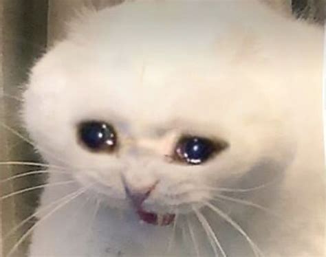 Pin Von Animecibir Insan Canlısı Auf Yeni Video Anime Liebe