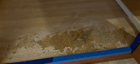 Wood Refinishing Particle Board With Vinyl Veneer Home Improvement