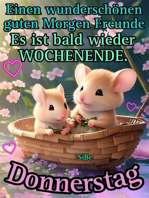 Pin Von Simone Bernhardt Auf Sibe Guten Morgen Donnerstag Niedlich