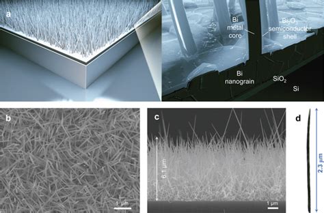Morphological Characterizations Of A Core‒shell Metal‒semiconductor