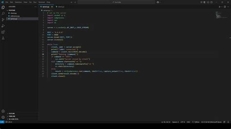 Asmr Coding A Simple Reverse Shell In Python Alex Codes Youtube