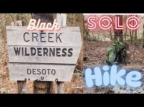 Solo Rainy Hike Through Black Creek Wilderness Desoto National Forest
