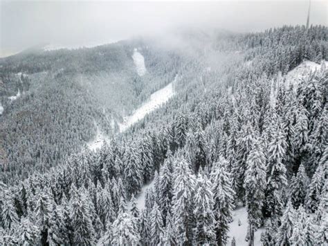 120 Distrito De Murtal Fotos De Stock Imagens E Fotos Royalty Free