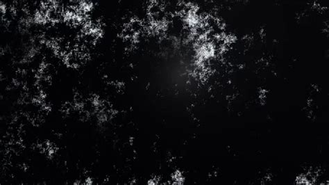 Jamya Harris Jamyaharris13 Twitter