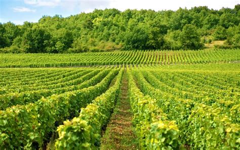 Soil Stabilization Ensuring Strong Foundations Yarafert