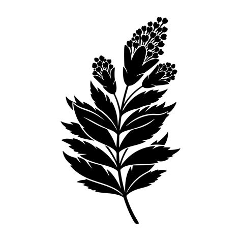 A Simple Black Botanical Illustration Of A Leafy Stem With Buds