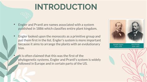 Engler And Prantl Classificationpdf