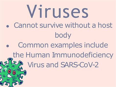 Grade 8 Microorganisms Pptx
