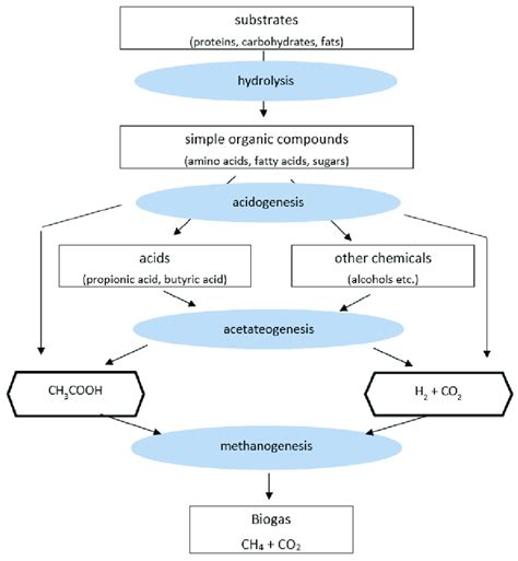 The Process Of Biogas Production 32 Download Scientific Diagram