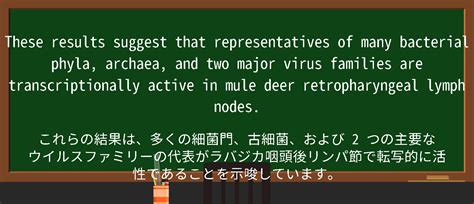 【英単語】bacterial Phylaを徹底解説！意味、使い方、例文、読み方 おもしろい英文法
