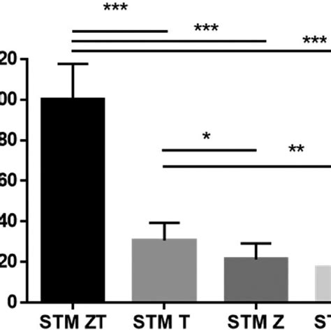 Invasion Of Iec 6 Cells By S Typhimurium Strains Entering Cells By