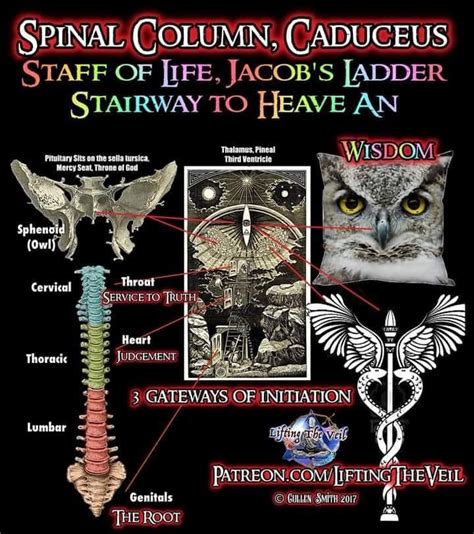 Best 13 Noah S Son Japheth And All His Descendants Artofit