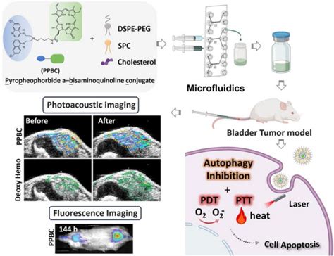 Multifunctional Nanoparticles Enable Bimodal Image Guided Phototherapy For
