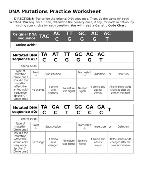 Dna Mutations Practice Worksheet Pdf Point Mutation Nucleic