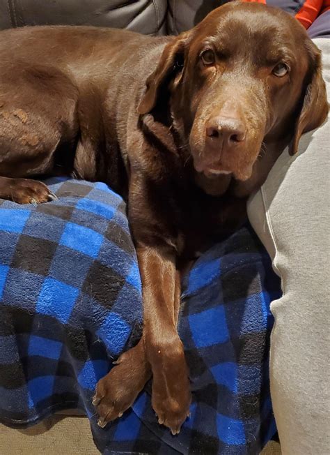 Fancy Feet For Cake Day Oc Rfancyfeet