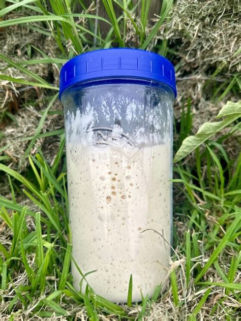 Long Fermented Sourdough Bread The Pantry Mama