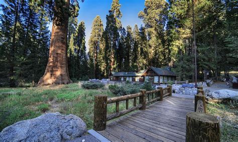 10 Choses à Faire Incontournables à Parc National De Sequoia And Kings