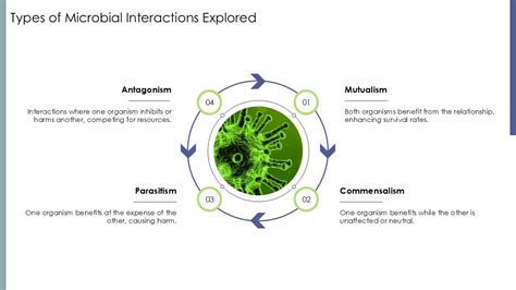 Types Of Microbial Interactions Explored Geomicrobiology Ppt Example St