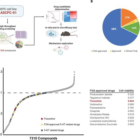 High Throughput Drug Library Screening Identified The Potential