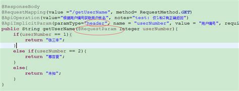 Swagger使用指南 Csdn博客