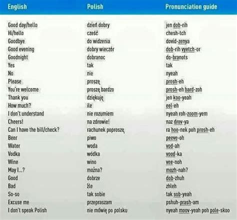 Learn The Top 100 Polish Phrases Words Artofit