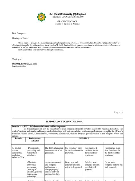 Practicum Performance Evaluation Tool Msn Pdf Nursing Patient
