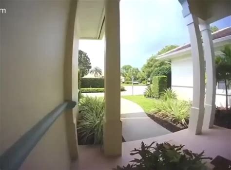 Fedex Vs Usps Album On Imgur