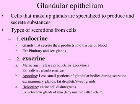 Ppt The Intricacies Of Epithelial Tissues Function Structure