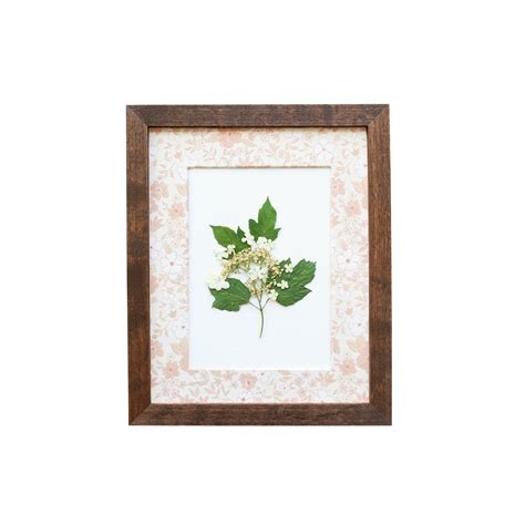 Noralee Frame Ii Handcrafted Pressed Floral Art Pressed Floral