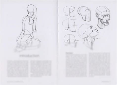 Solution Morpho Simplified Forms Anatomy For Artists Morpho Anatomy