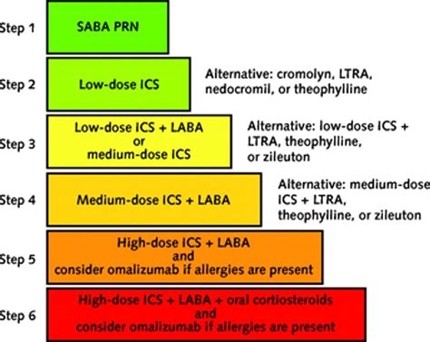 Classification Of Asthma Drugs At Roger King Blog